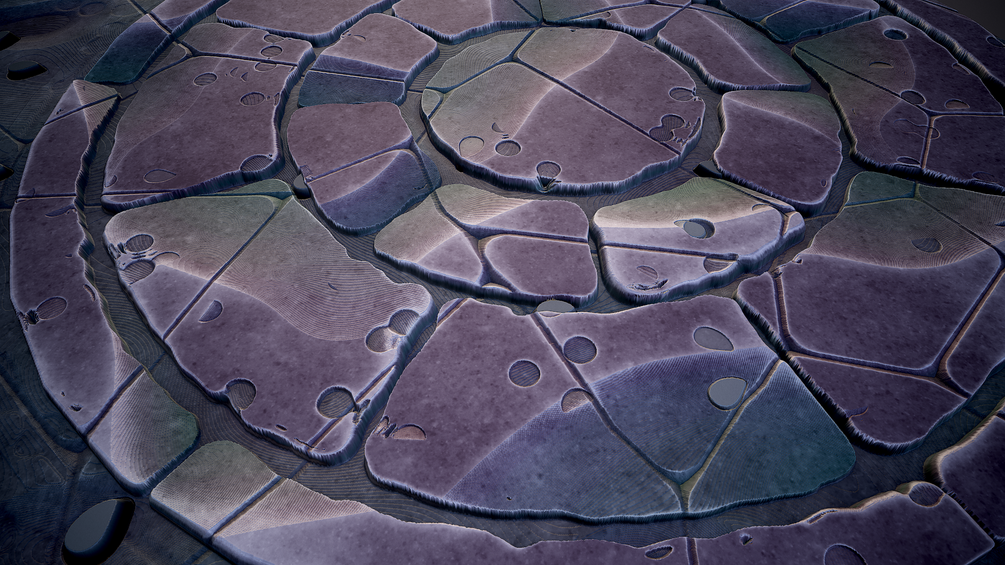 Substance Designer Tutorial - Stylized Ground with Circular Pattern