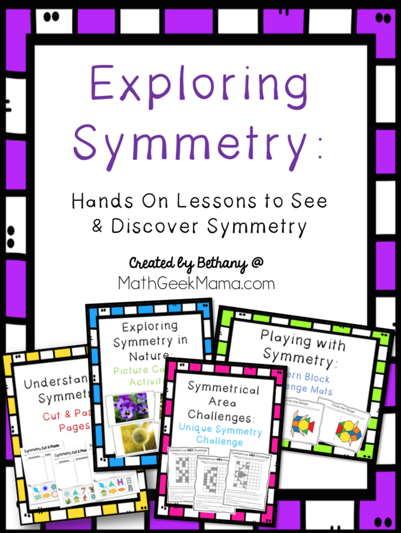 Exploring Symmetry: Lessons to See & Discover Symmetry