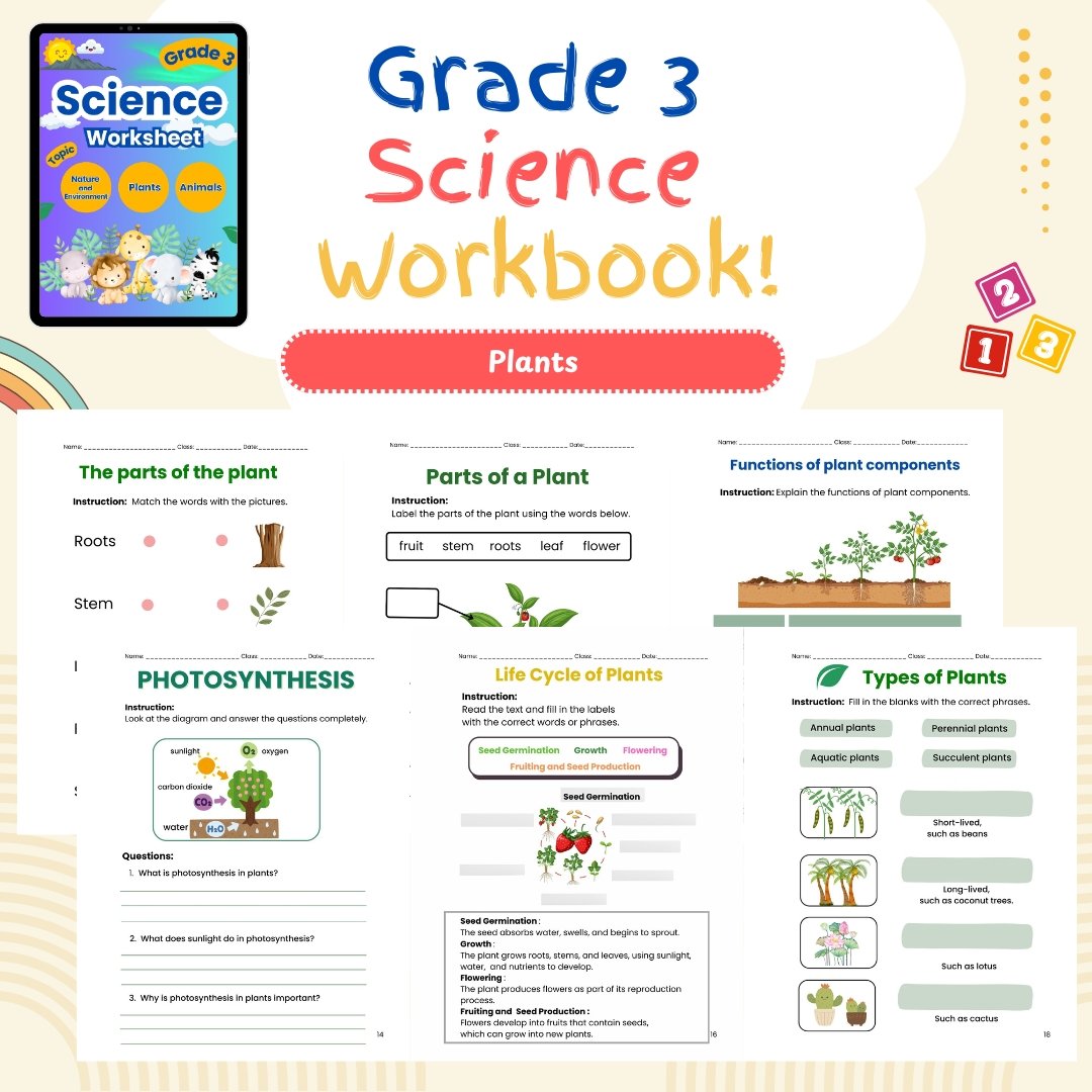 Grade 3 Science Workbook! - worksheets and answer sheets - Nature and ...