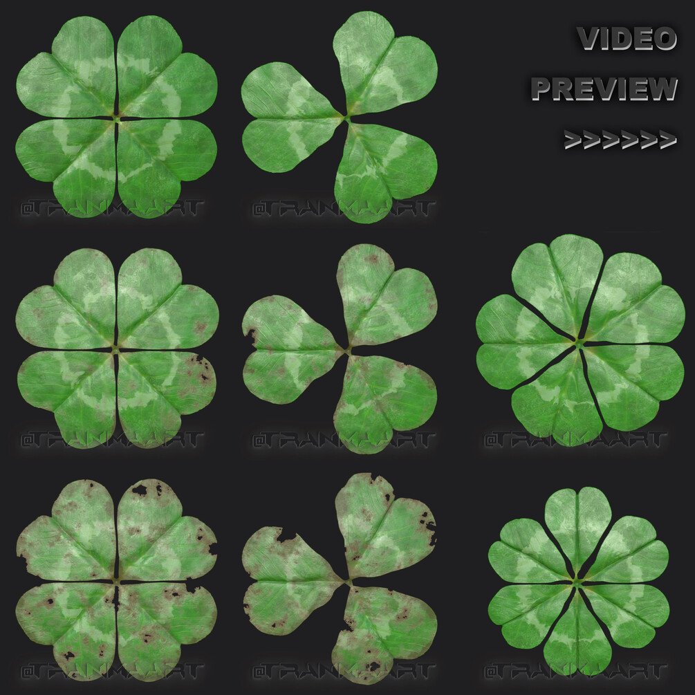 4K Clover // PBR Material Pack 2308 // 4K Textures