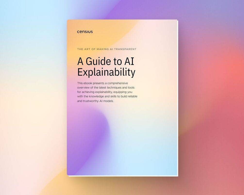 AI Ebook (Expert Edition)