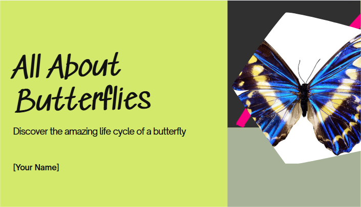 All About Butterflies Presentation Template