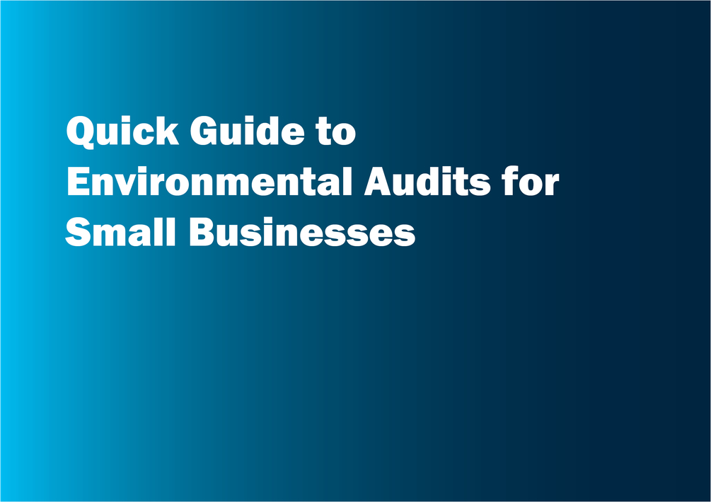Quick Guide to Environmental Audits for Small Businesses