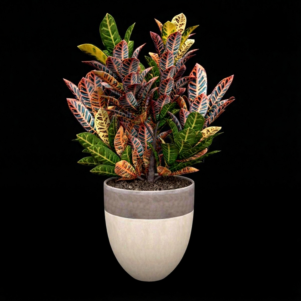 Plant + Pot Model_00004 for D5 Render