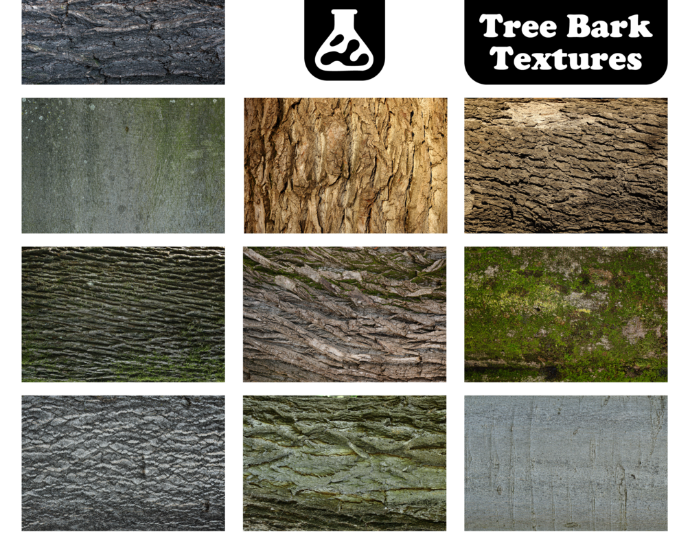 Tree Bark Textures Pack: High-Resolution Wood Backgrounds (6000x4000px JPG)