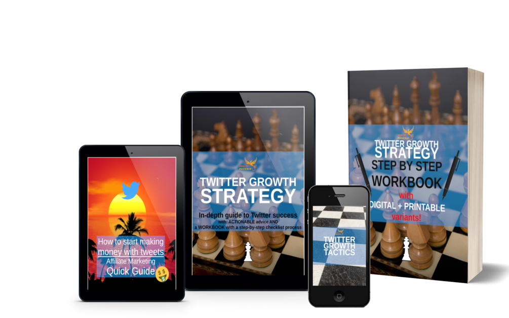 Twitter Growth Strategy