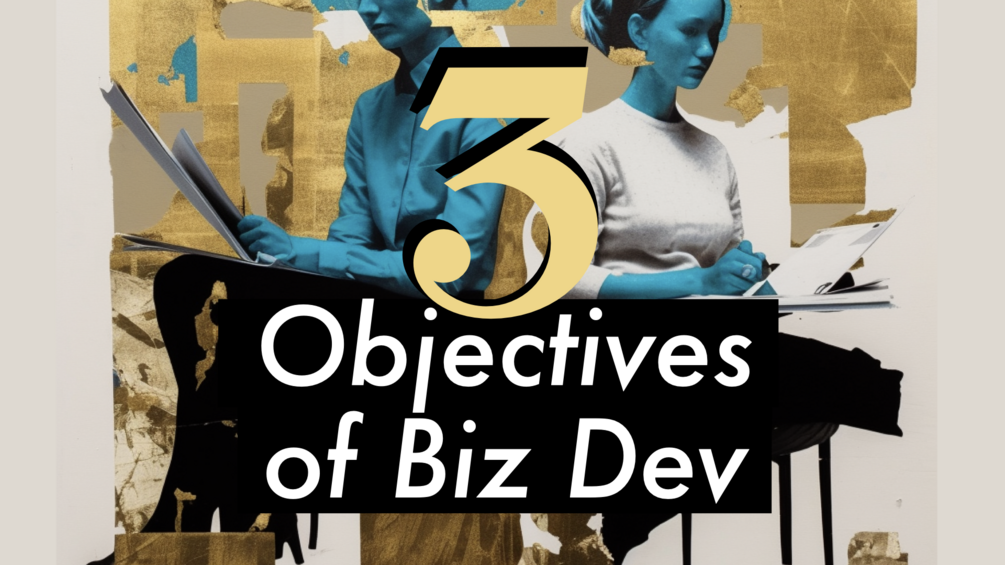 STRATEGY 3 Biz Dev Objectives