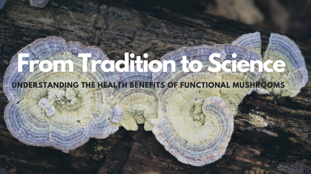 From Tradition to Science: Understanding the Health Benefits of ...