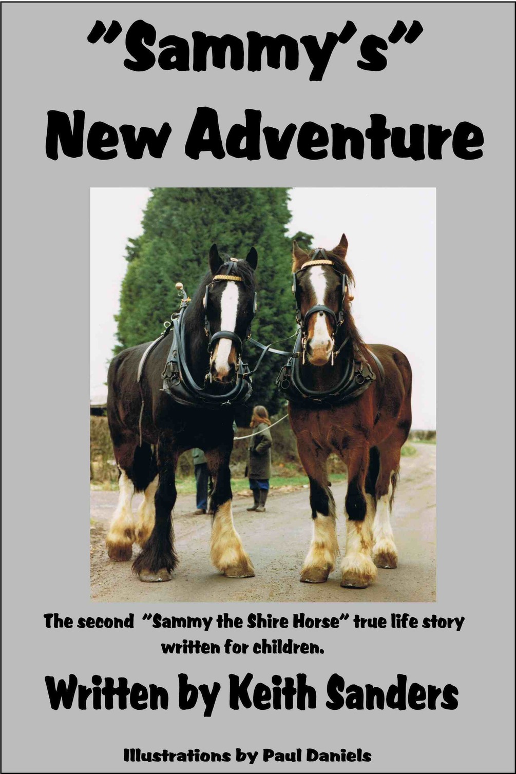 SAMMY'S NEW ADVENTURE E PUB STORY BOOK DOWNLOAD