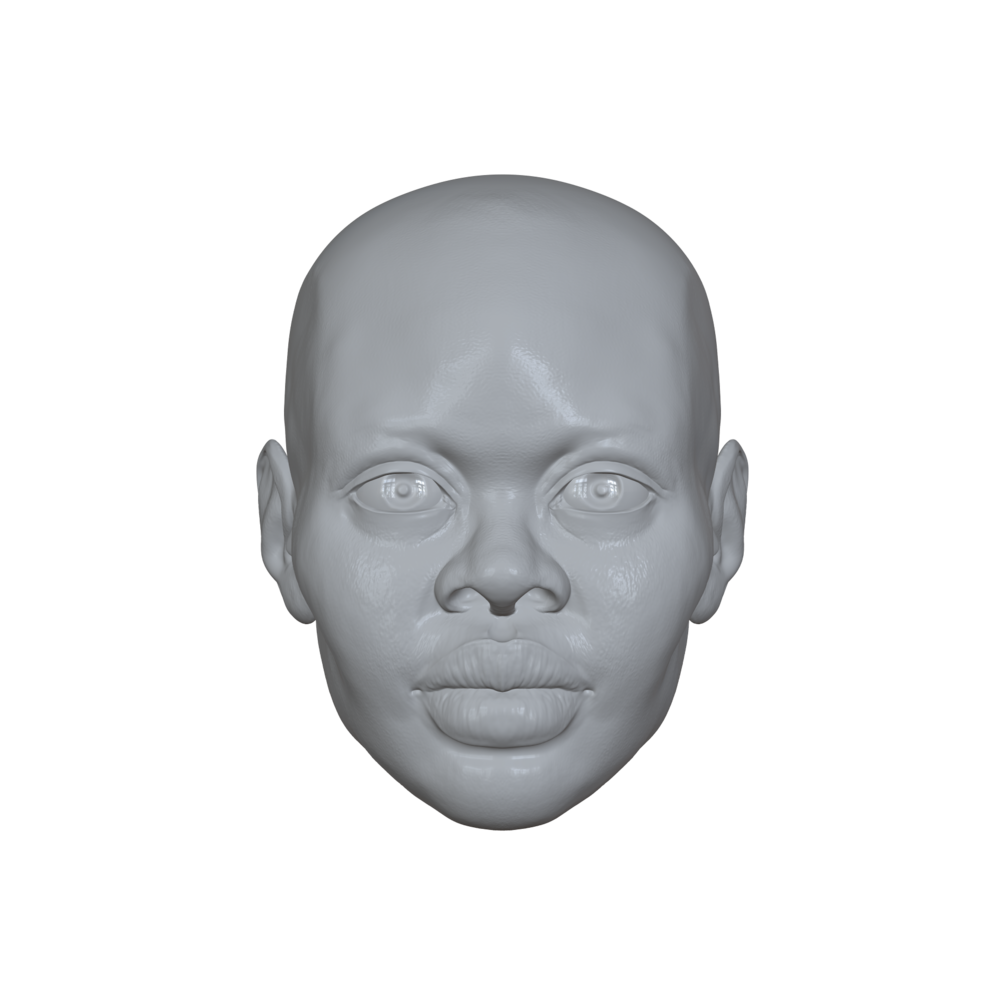 NOMAD SCULPT | PRE-SCULPTED HEAD