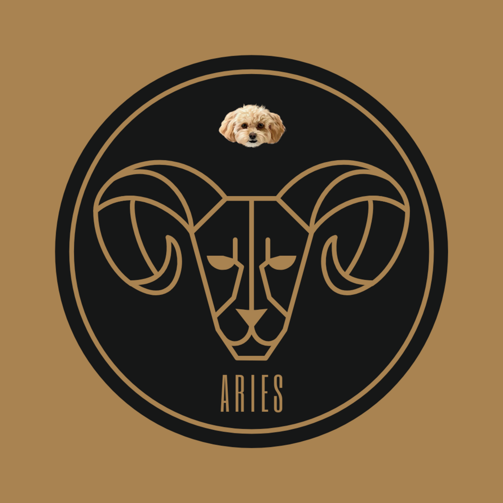 ARIES: Dethroning the Overlord! - DEEP DIVE