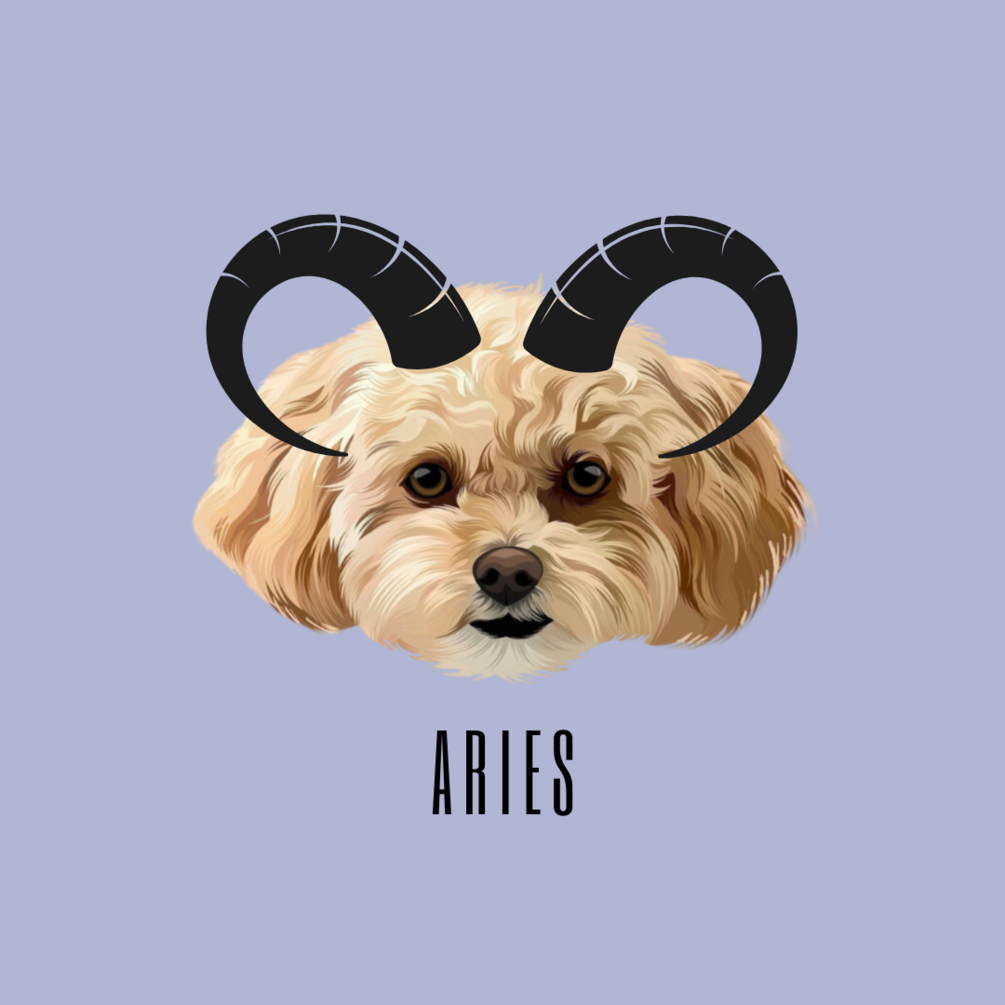 ARIES: Eyes on the Prize! - Extended