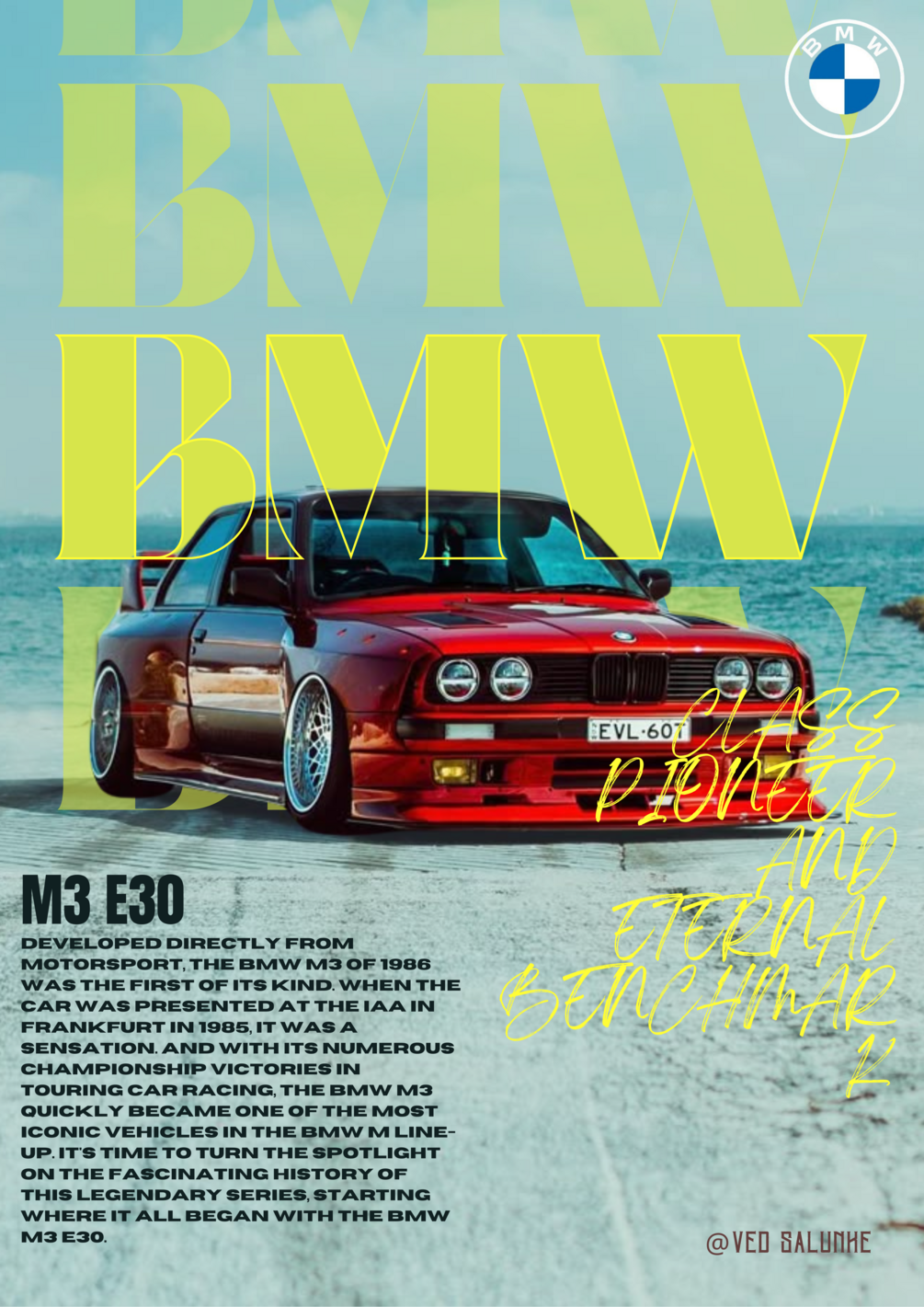 BMW E3 M30