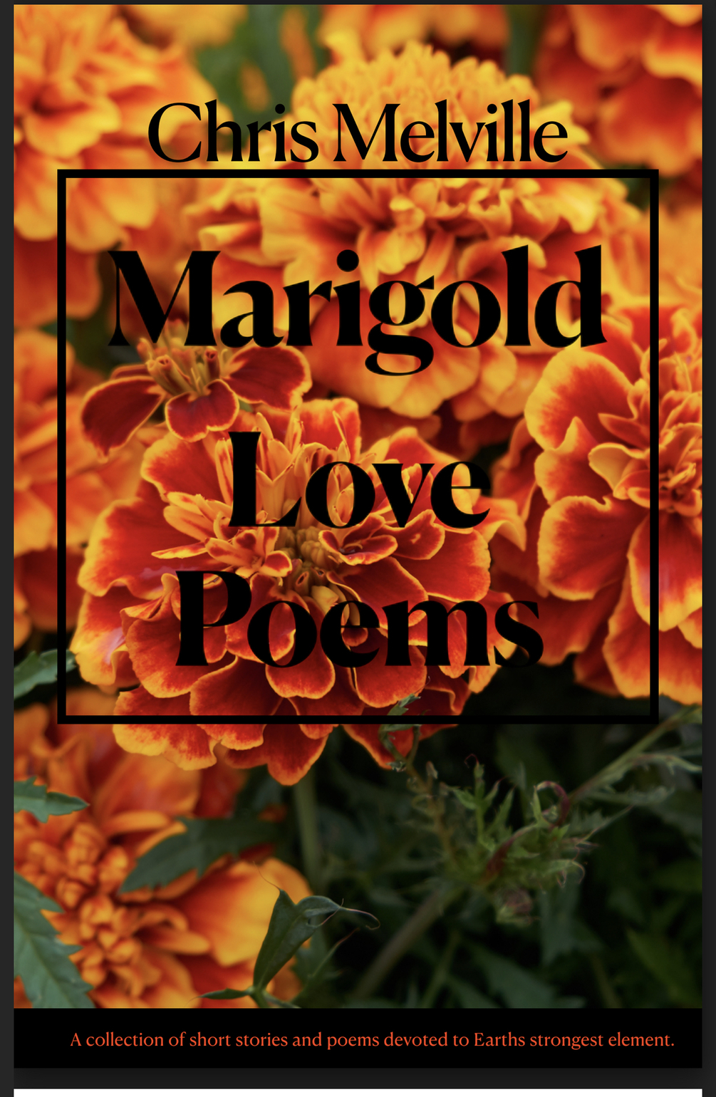 Marigold Love Poems