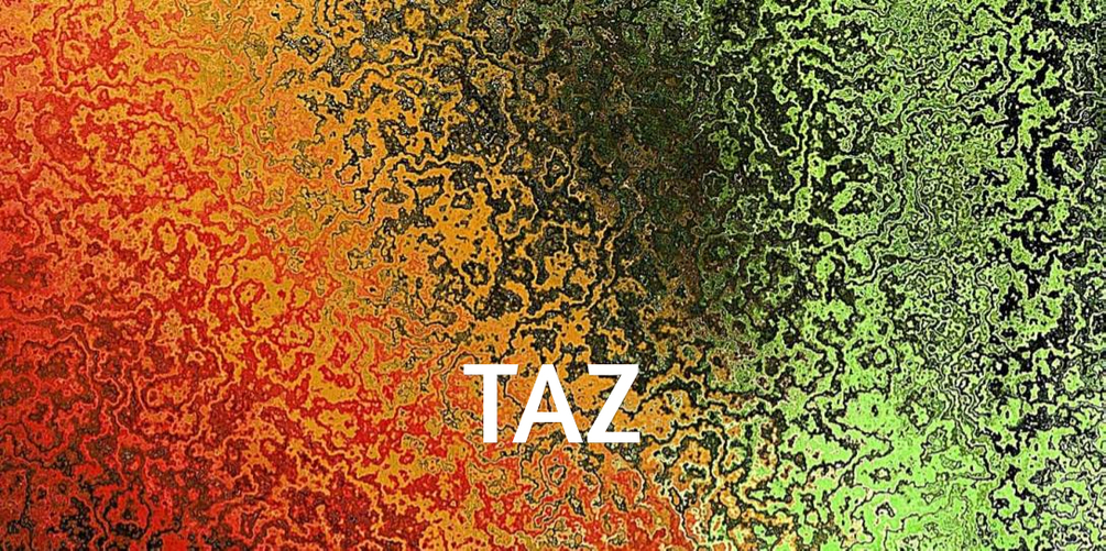 TAZ
