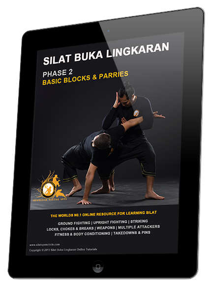 Phase 2 - Basic Blocks & Parries (rental)