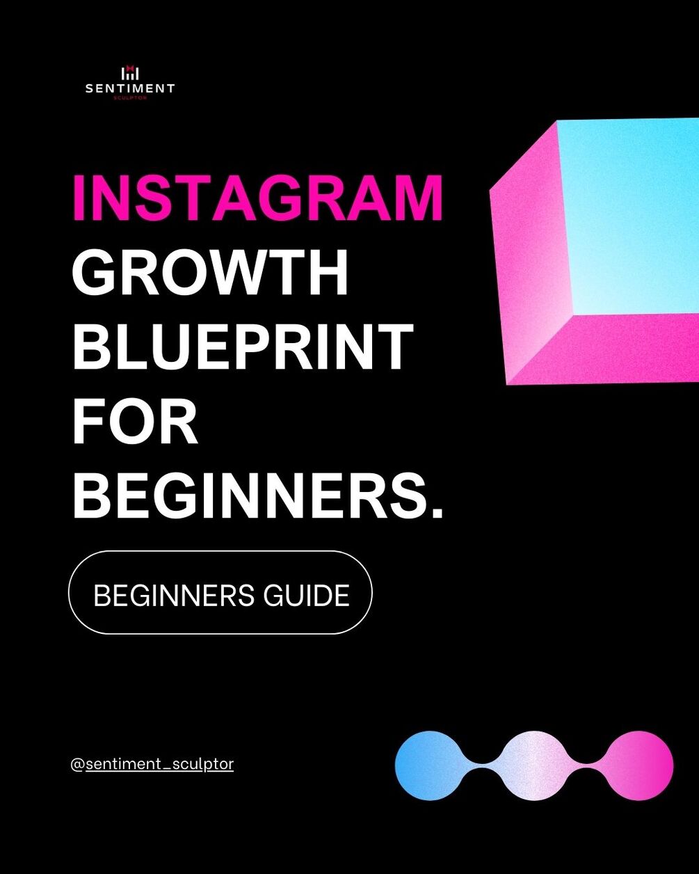 Free Instagram Growth Blueprint for Beginners.