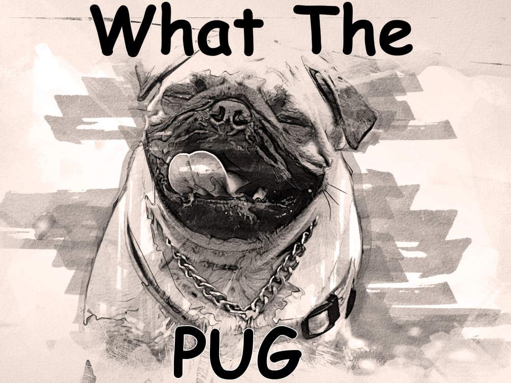 What the pug T-shirt
