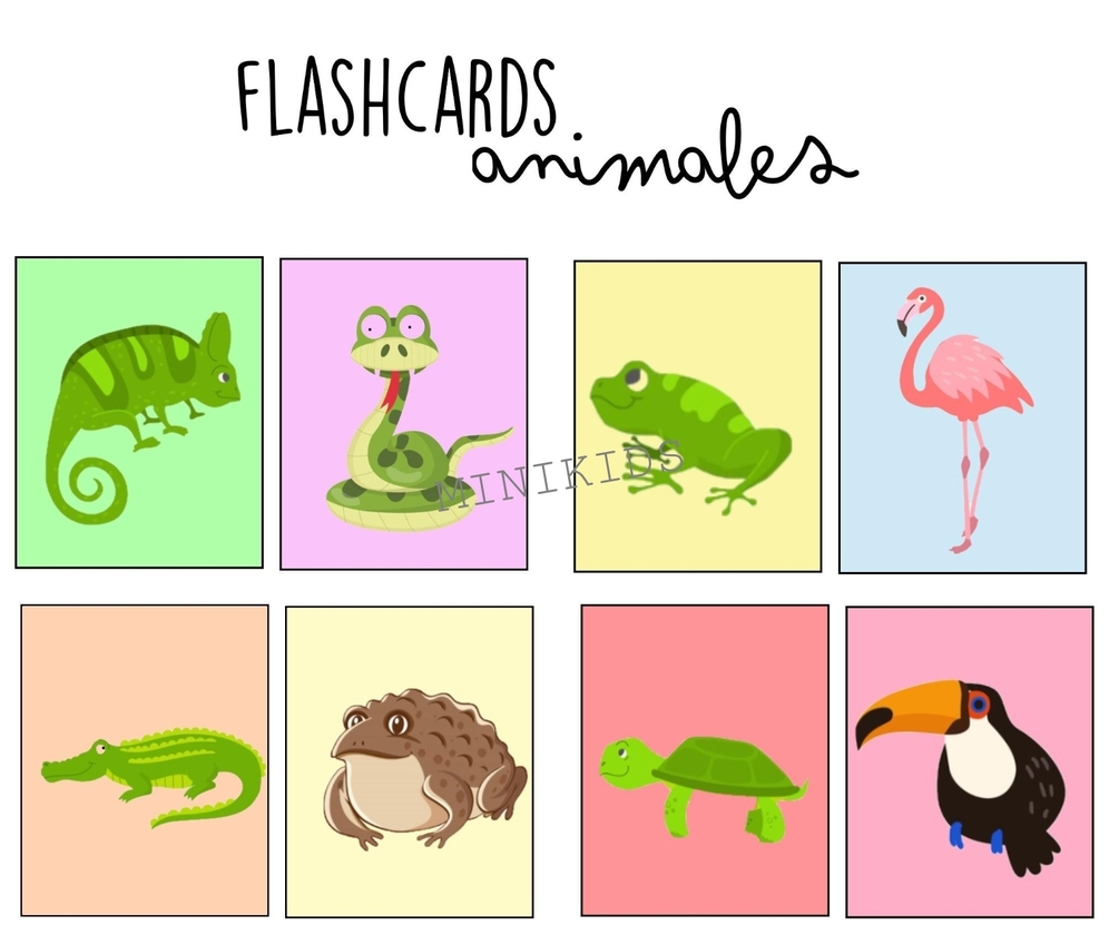 Flashcards animales