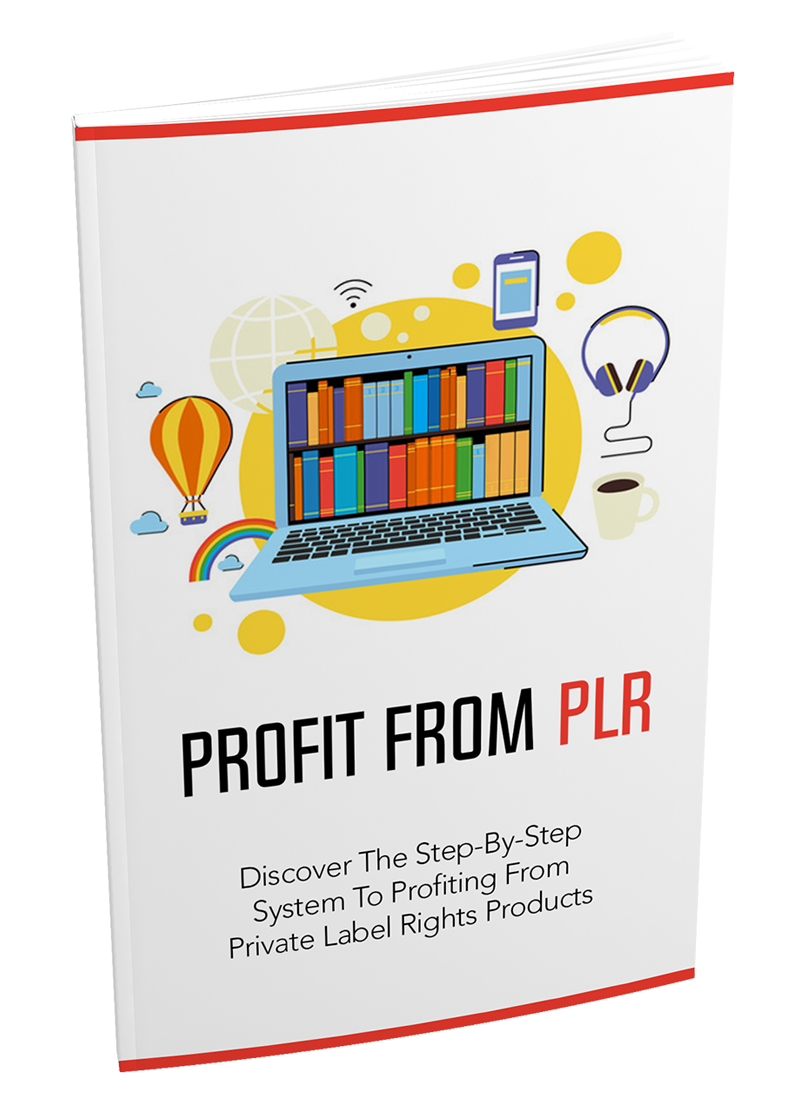PROFIT FROM PLR