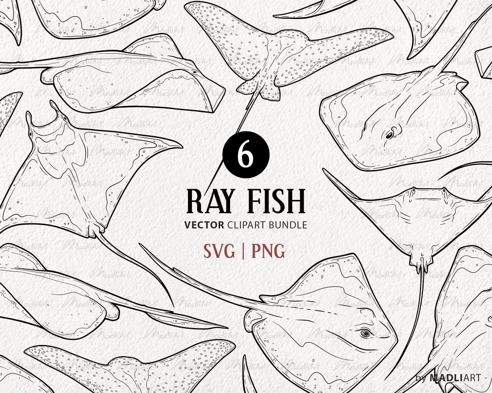 Ray Fish SVG Clipart Bundle | Ocean Animal Vector Line Art Set Set ...