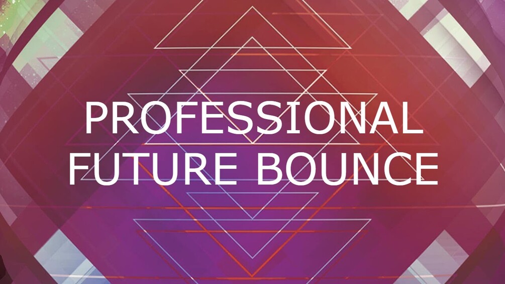 PROFESSIONAL FUTURE BOUNCE