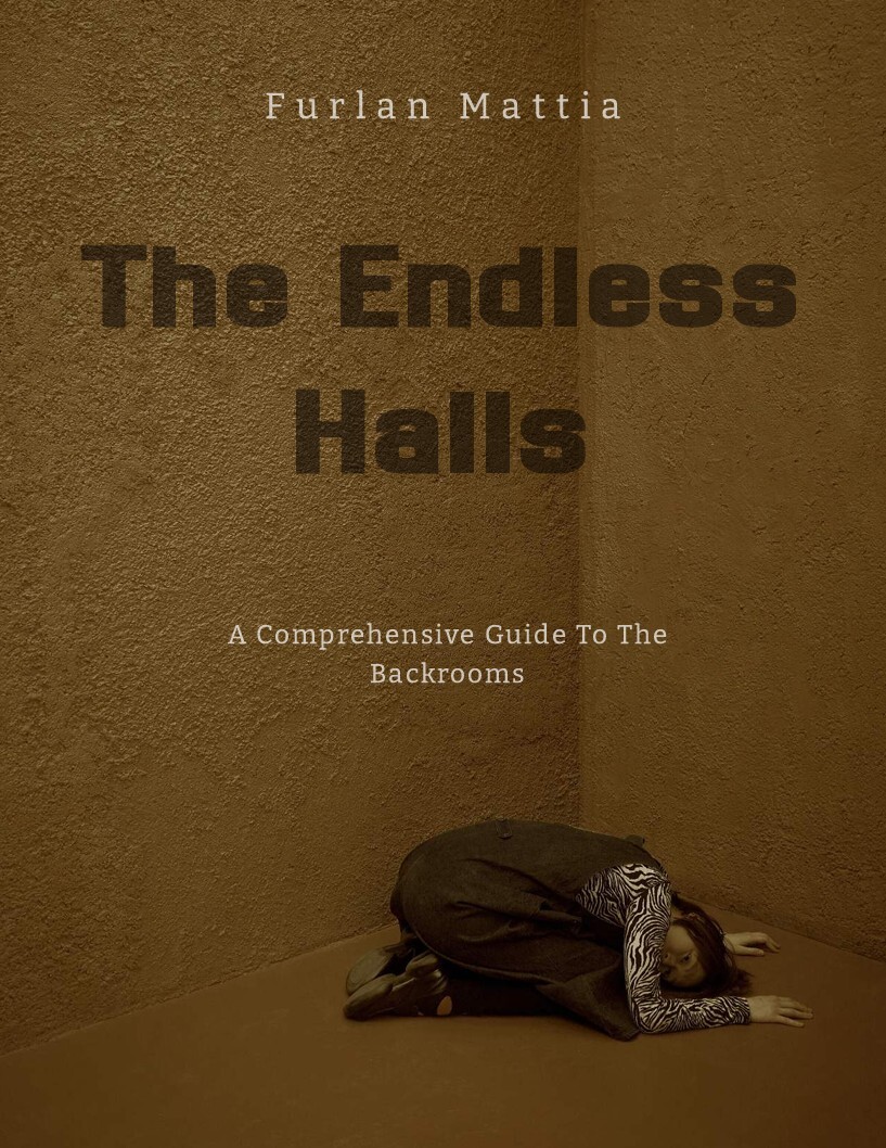The Endless Halls: A Backrooms Guide