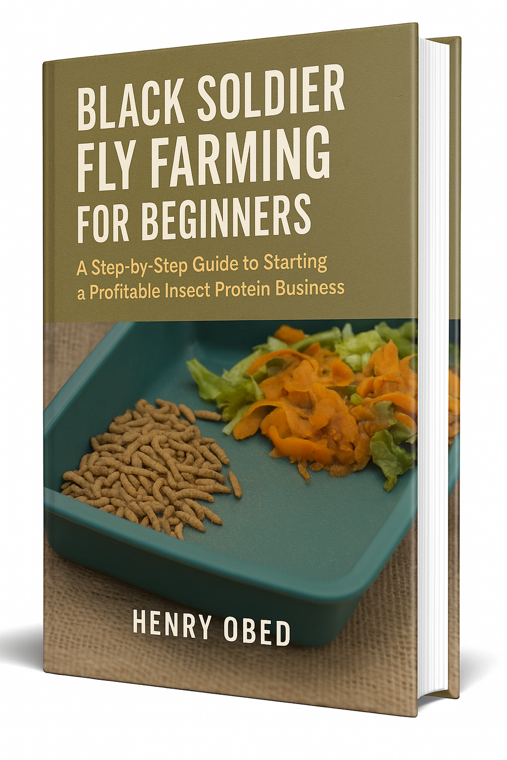Black Soldier Fly Farming for Beginners: A Step-by-Step Guide to ...