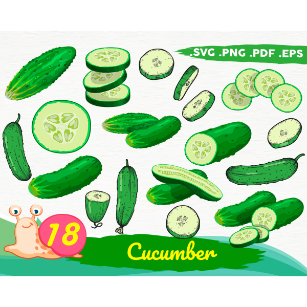 CUCUMBER SVG,Vegetable Svg, Cucumber Clipart, Cucumber Vector, Vegan ...