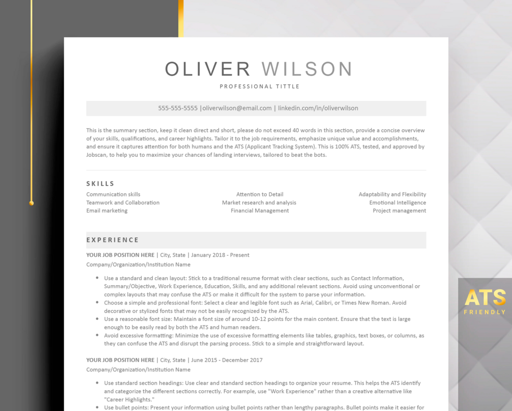 ATS Friendly Professional ats Resume Template for Google Docs, Word ...