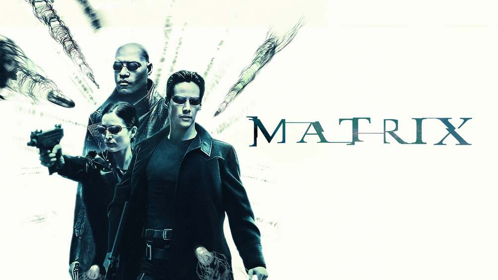 The Matrix 1 Year(1999)