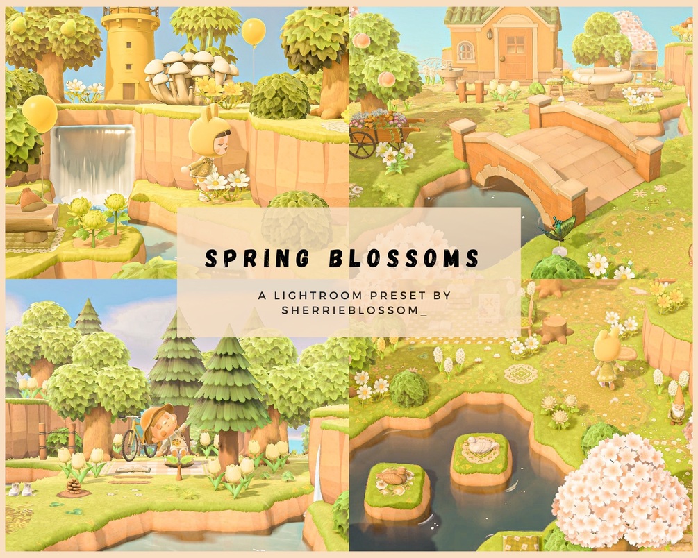 Spring Blossoms