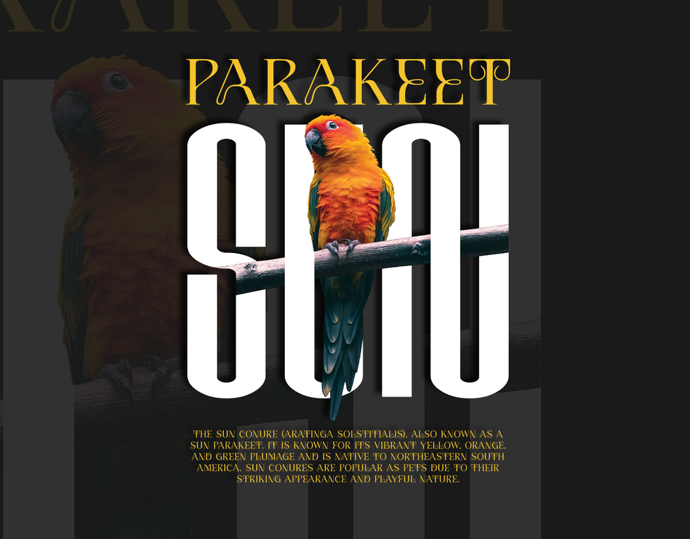 T-shirt Design | SUN PARAKEET
