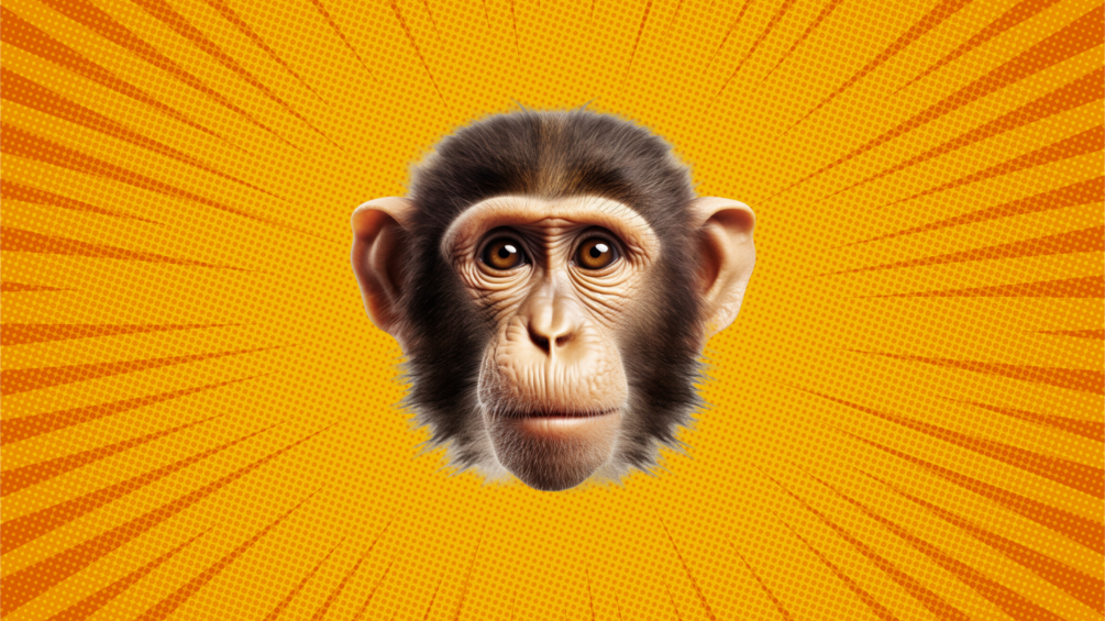 Dramatic monkey face