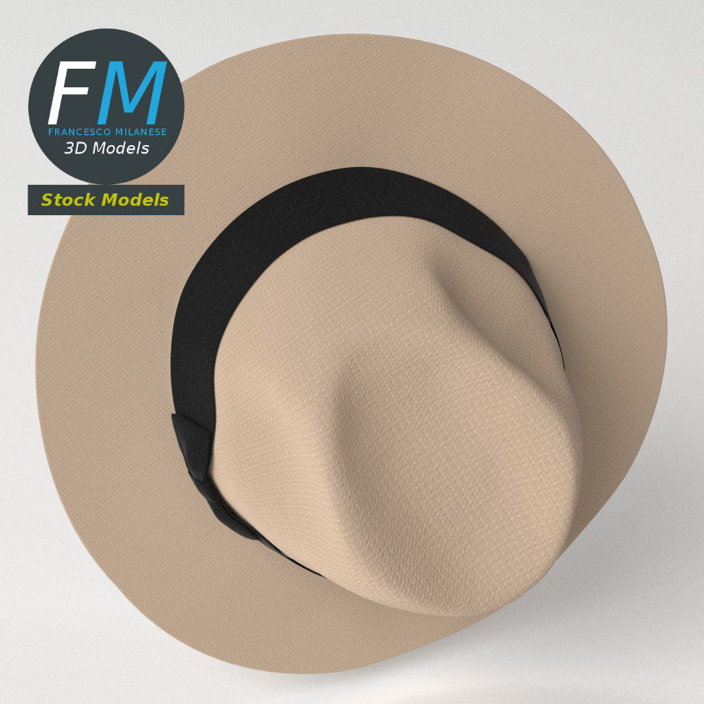 3D MODEL - Panama hat