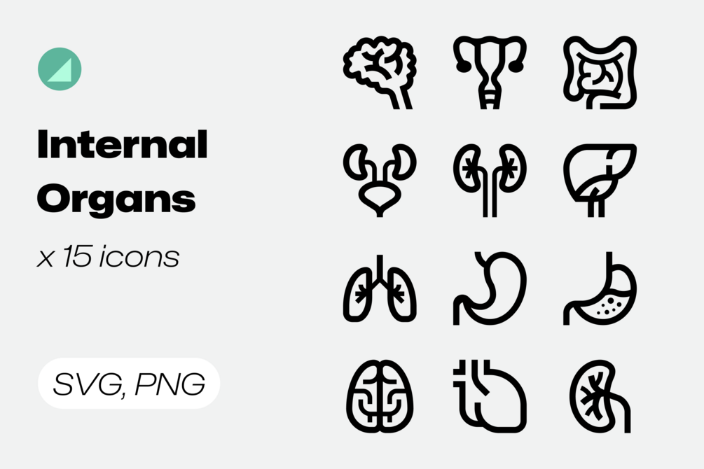 Basicons / Line / Internal Organ Icons