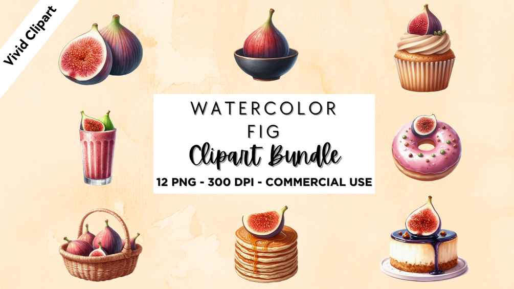 Watercolor Fig Clipart Bundle