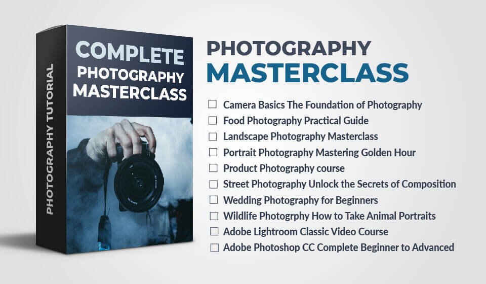 Photography & Photo editing Bundle