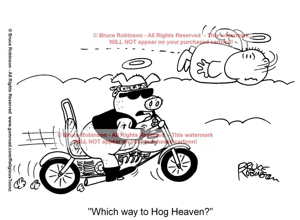 "Which way to Hog Heaven?" cartoon