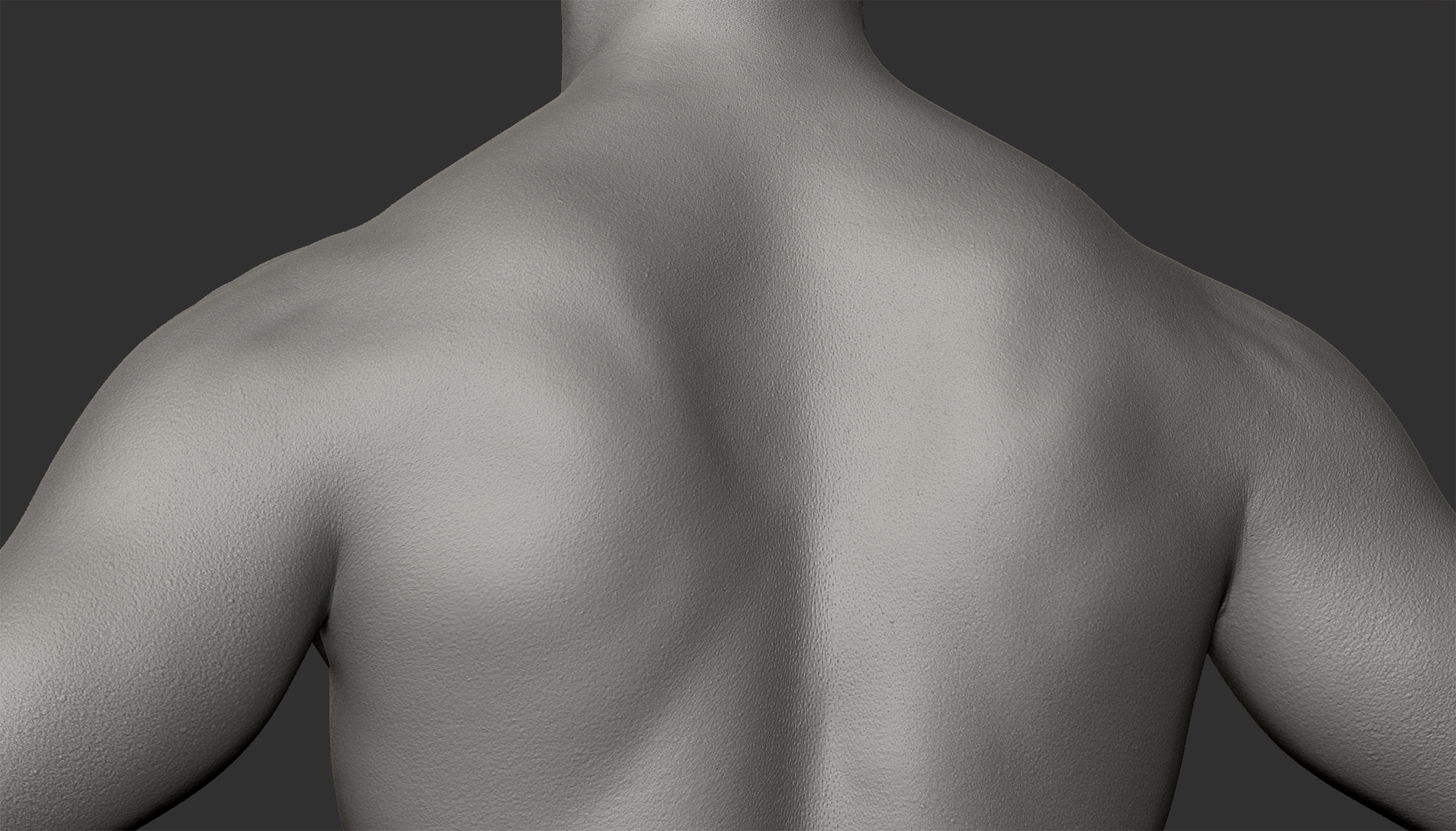 Animation Ready Body Scan / Male 01