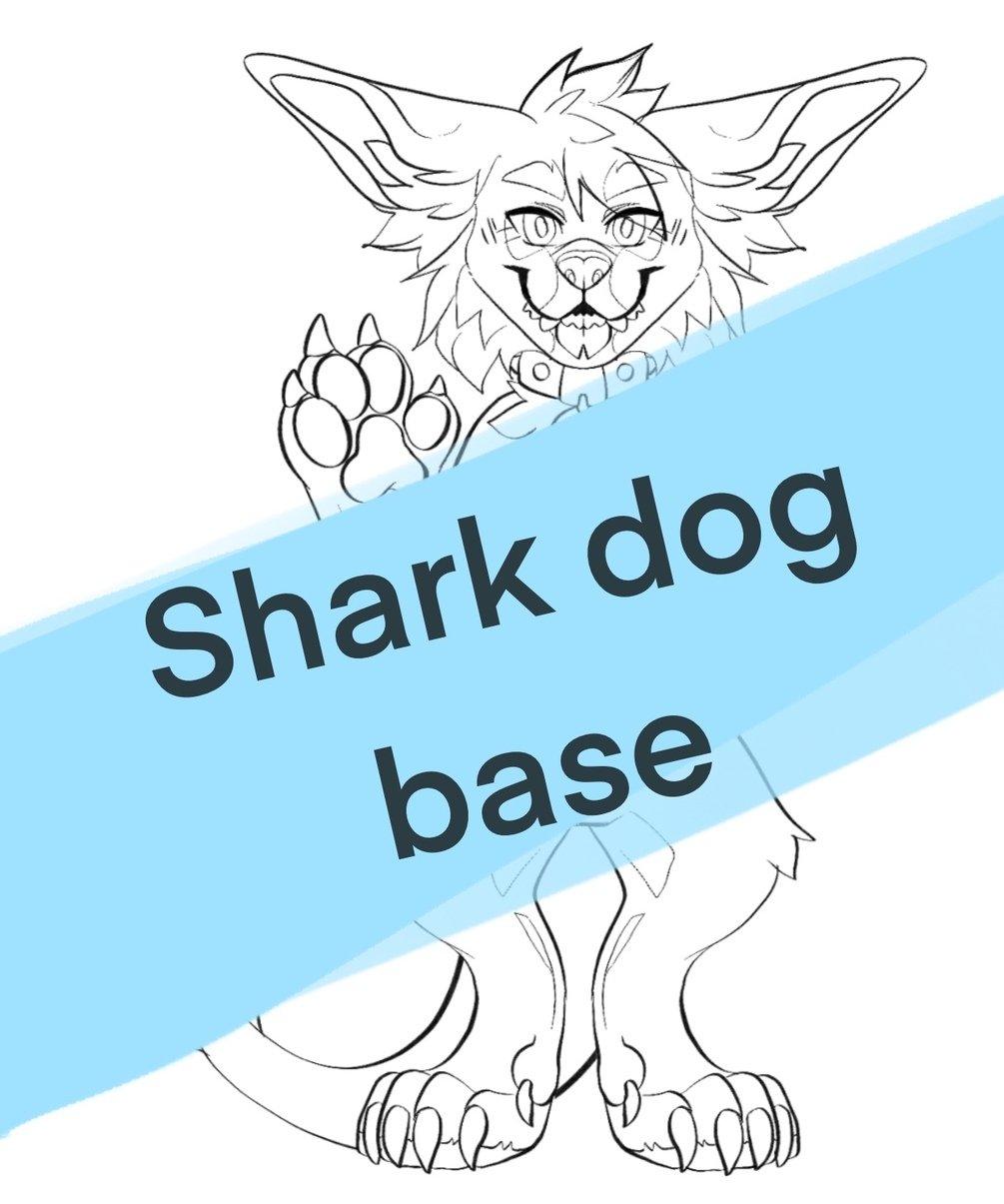 Sharkdog base