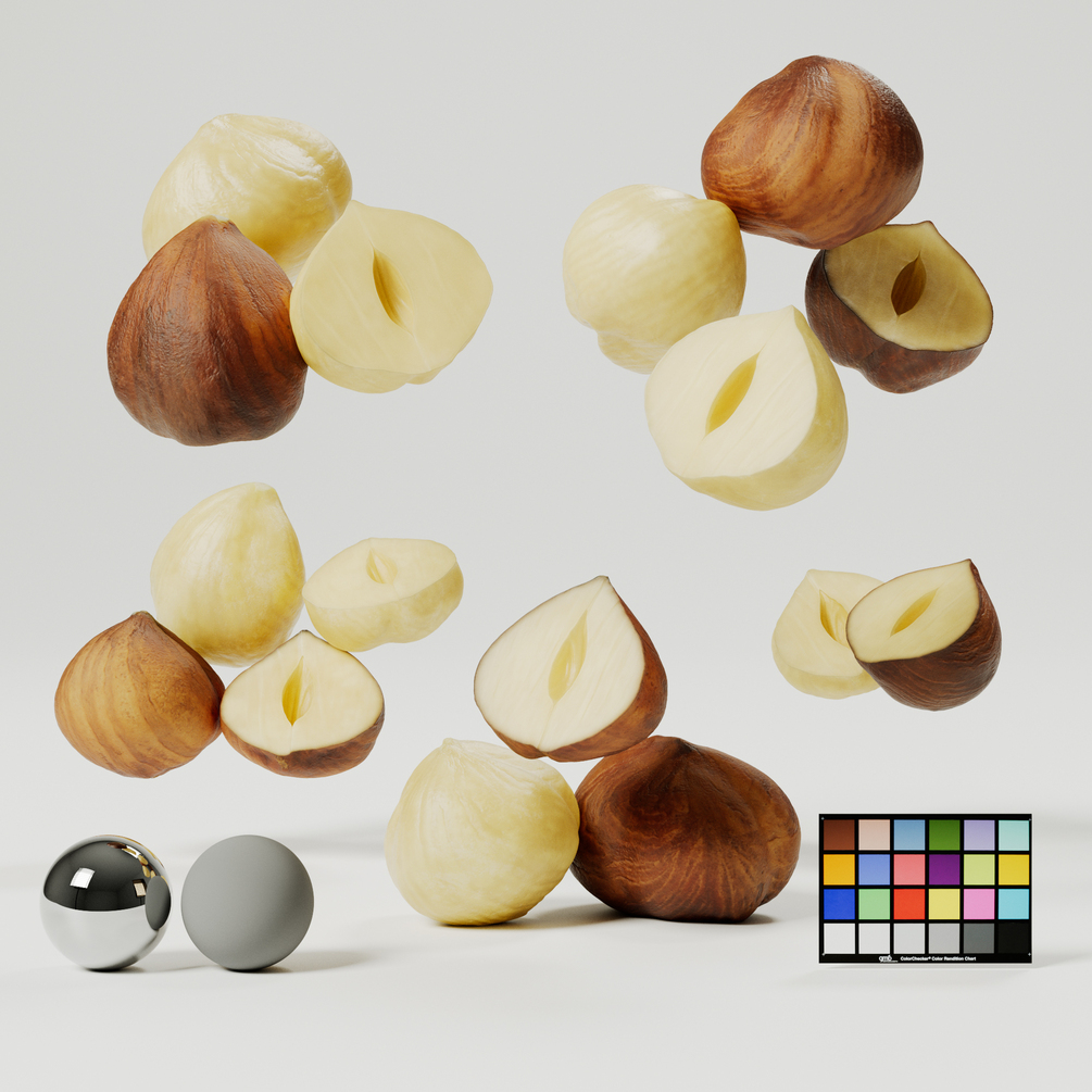 Hazelnuts - 16 Variations (3D/Digital)