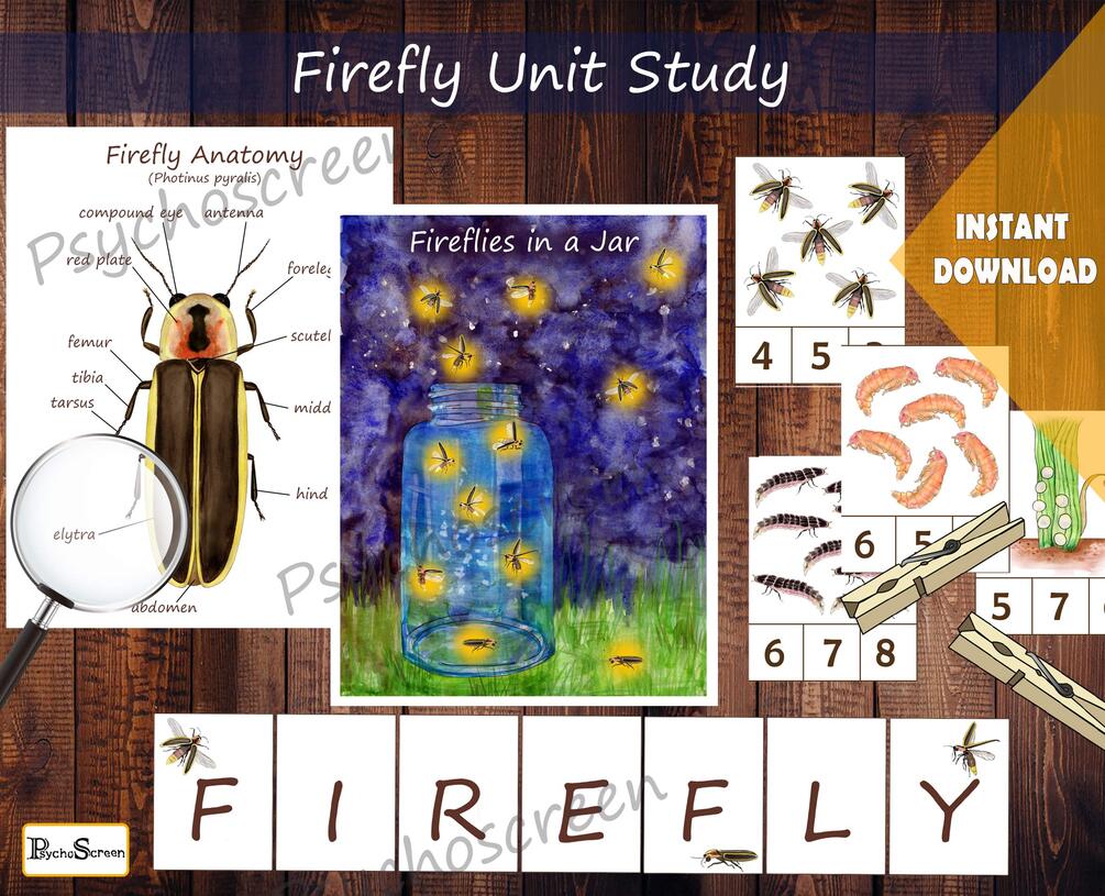 FIREFLY Unit Study: MEGA Printable fireflies set, Lighting bugs, insects