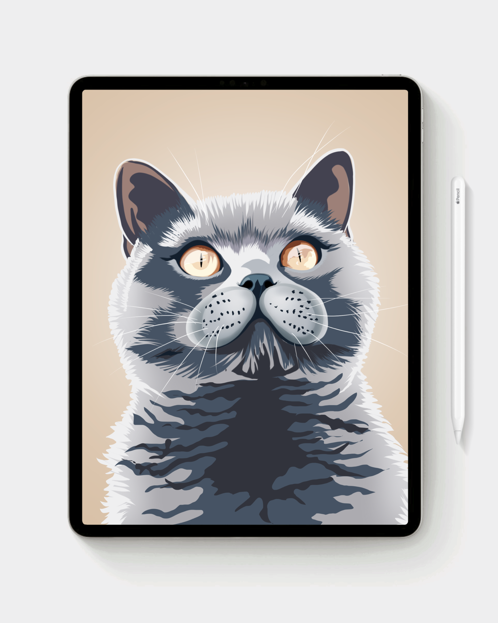 How to Draw A Pet Portrait & Two-Point Perspective - Tatyworks