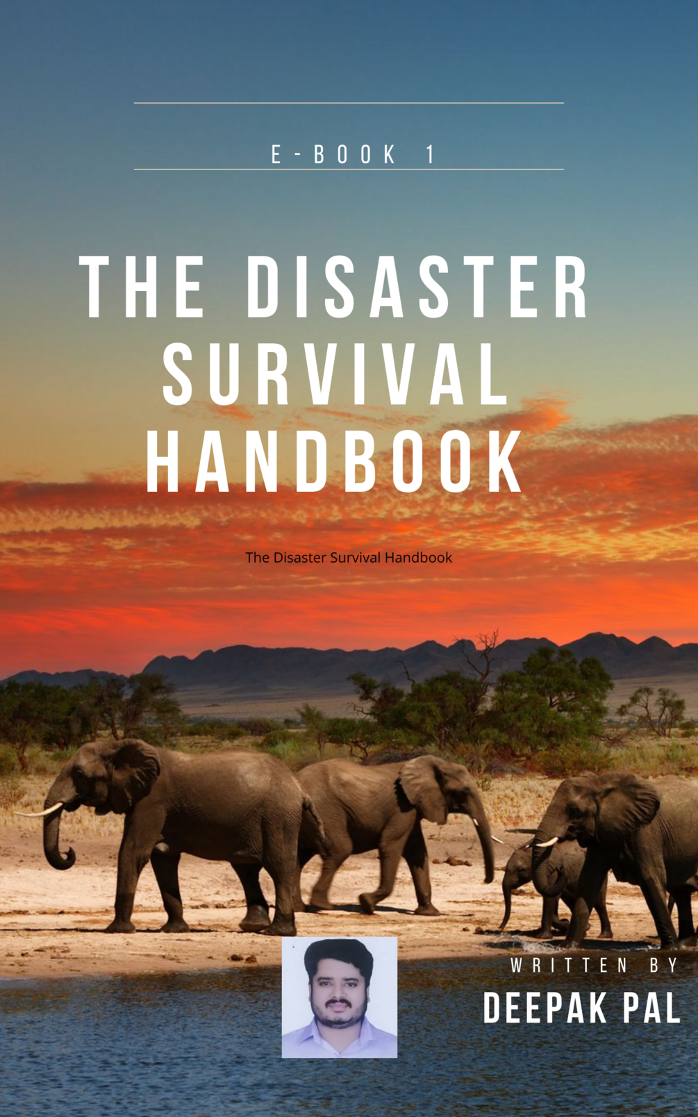 The Disaster Survival Handbook: Essential Tips and Tricks for Every Situation