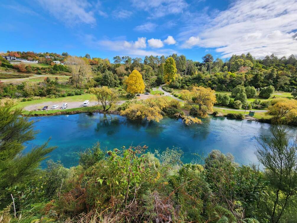 Private Life & Wellness Coaching Session