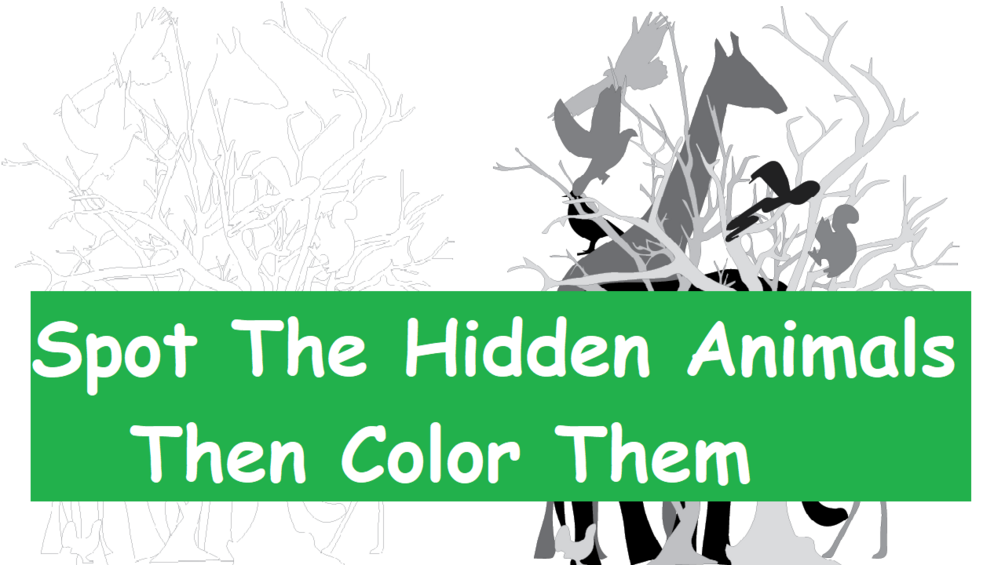 Spot The Hidden Animals, Then Color Them E-book