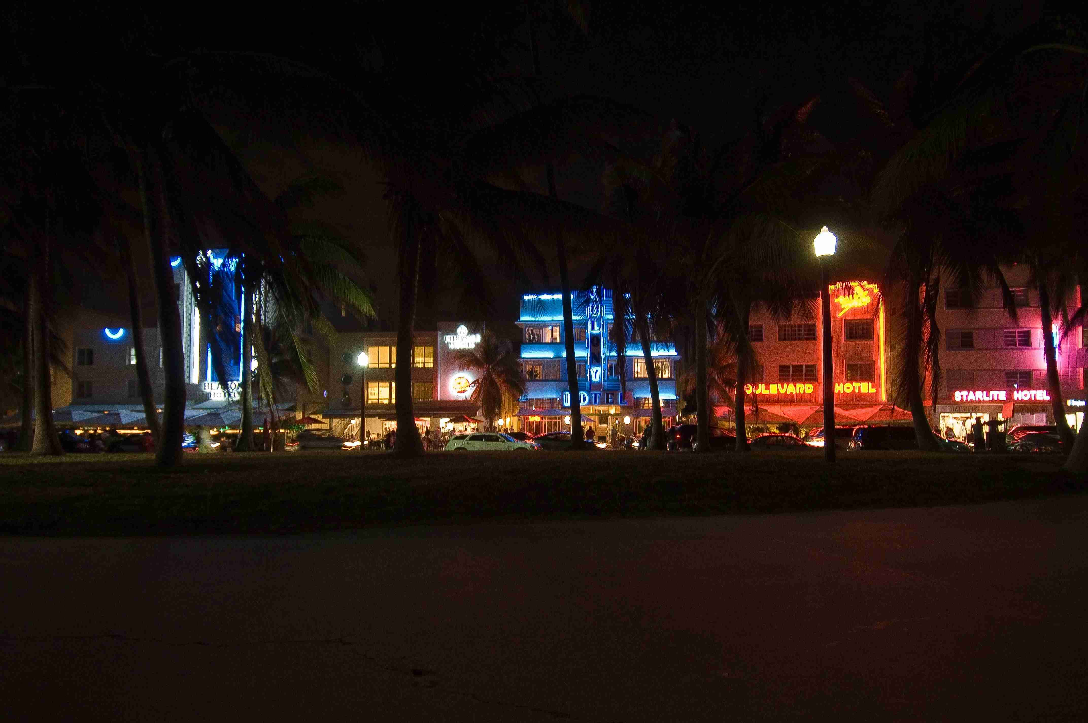 Miami After Dark: Your Guide to the Best Nightlife and Rooftop Bars