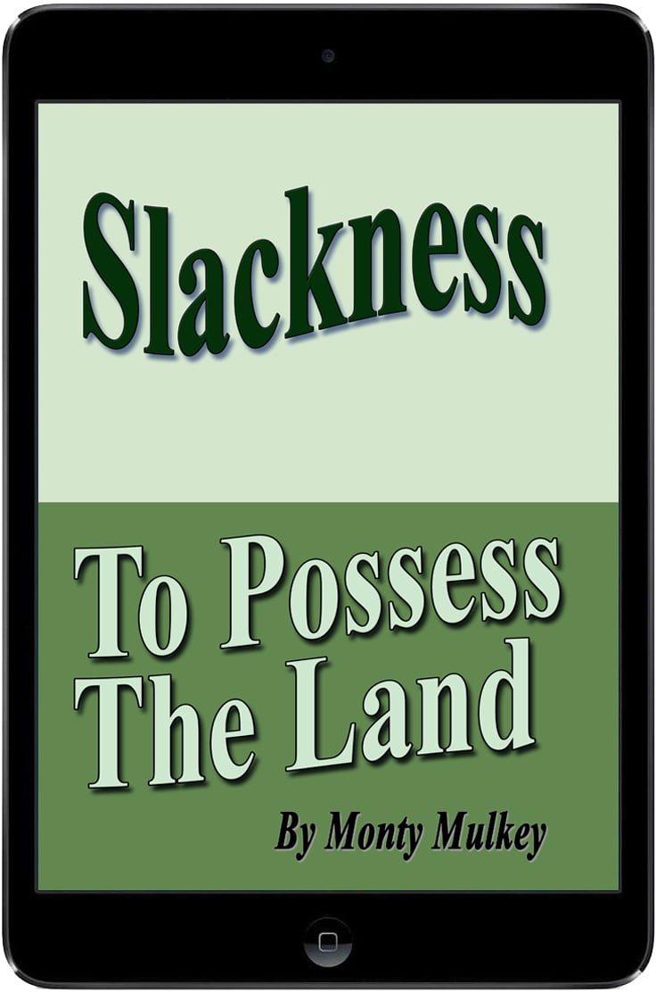 eBooklet 13 - Slackness to Possess The Land Stamped ebooklet pdf