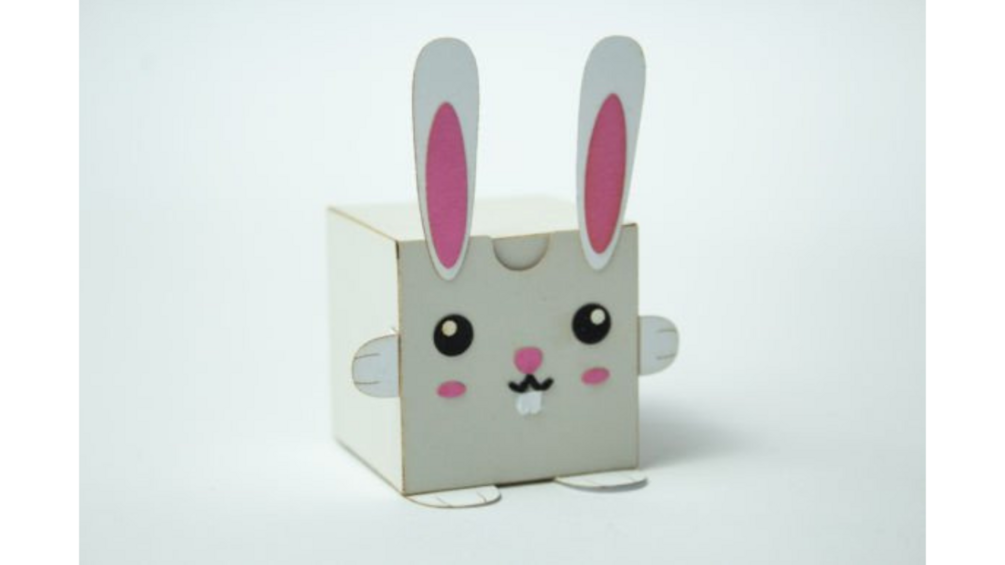 Rabbit Kids Favor Box